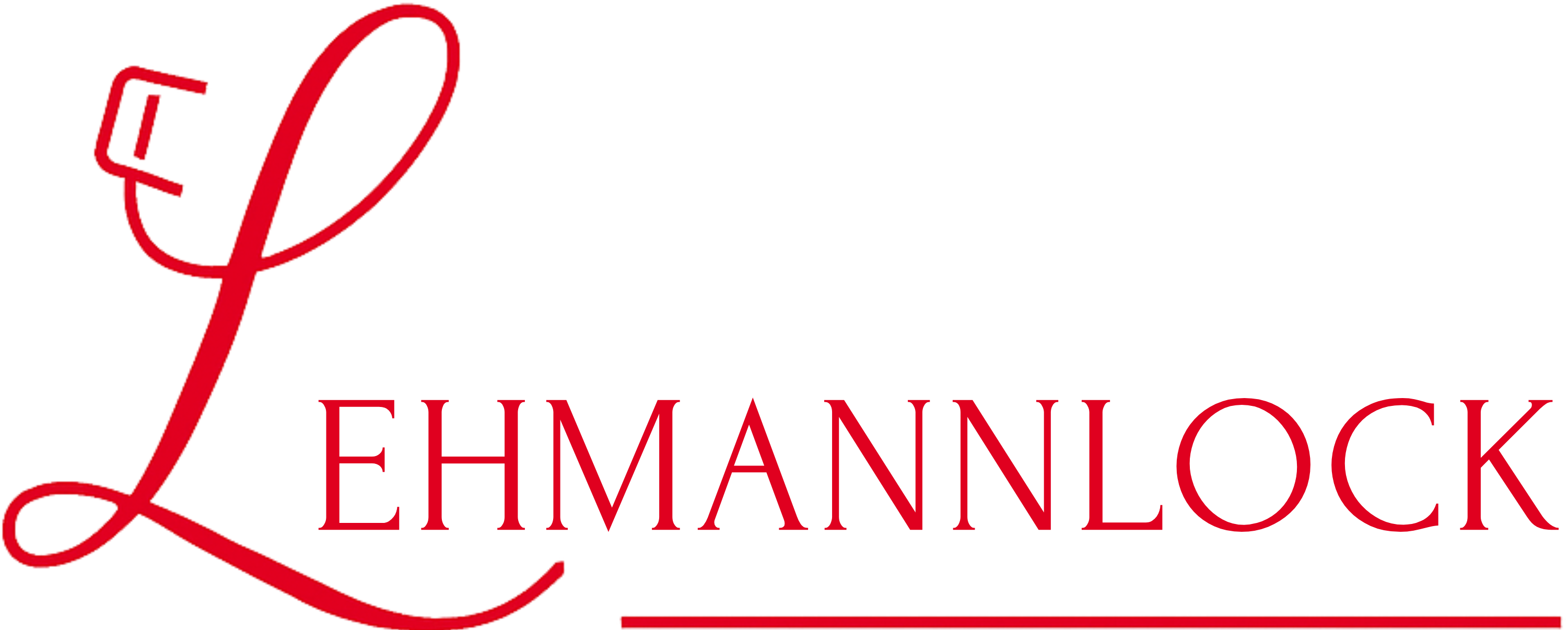 Lehmannlock – Bridas de Cable, Alta Calidad y Durabilidad